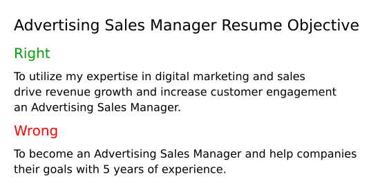 Top 17 Advertising Sales Manager Resume Objective Examples