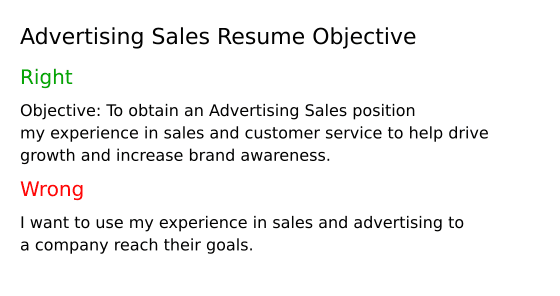 Top 18 Advertising Sales Resume Objective Examples