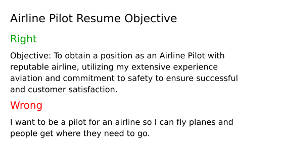 Top 18 Airline Pilot Resume Objective Examples | ResumeCat