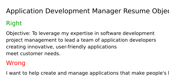 Top 18 Application Development Manager Resume Objective Examples