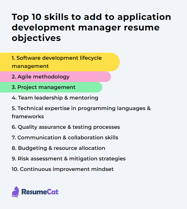 Top 18 Application Development Manager Resume Objective Examples