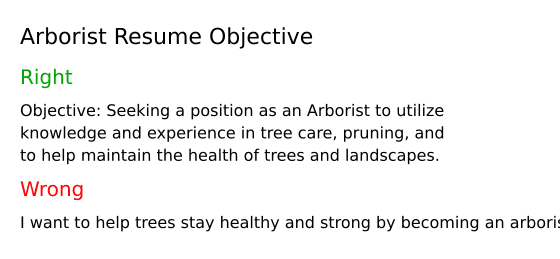 Top 16 Arborist Resume Objective Examples | ResumeCat