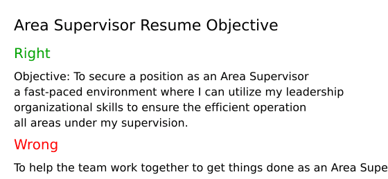 Top 17 Area Supervisor Resume Objective Examples | ResumeCat