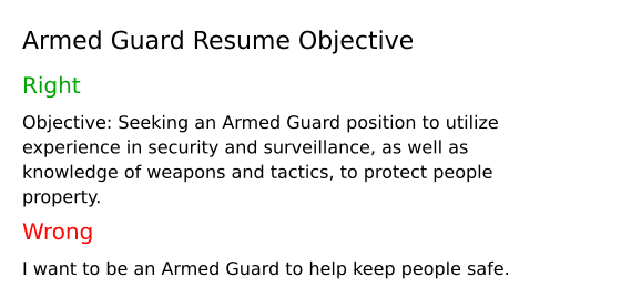 Top 16 Armed Guard Resume Objective Examples | ResumeCat