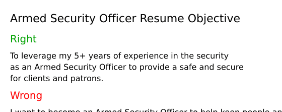 Top 18 Armed Security Officer Resume Objective Examples