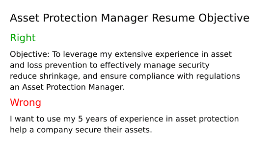 Top 18 Asset Protection Manager Resume Objective Examples