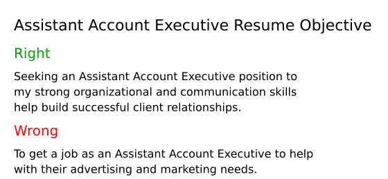 Top 17 Assistant Account Executive Resume Objective Examples