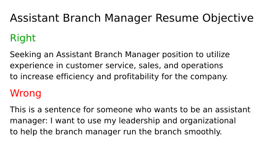Top 17 Assistant Branch Manager Resume Objective Examples