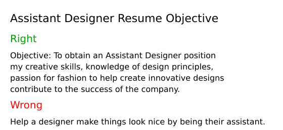 Top 16 Assistant Designer Resume Objective Examples