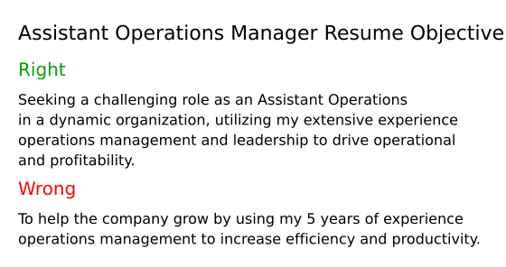 Top 18 Assistant Operations Manager Resume Objective Examples