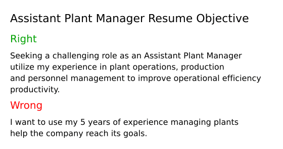 Top 18 Assistant Plant Manager Resume Objective Examples