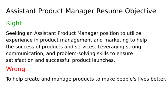 Top 17 Assistant Product Manager Resume Objective Examples