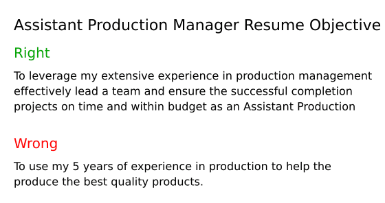 Top 16 Assistant Production Manager Resume Objective Examples