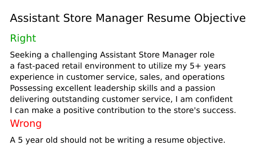 Top 18 Assistant Store Manager Resume Objective Examples