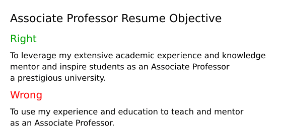 Top 16 Associate Professor Resume Objective Examples