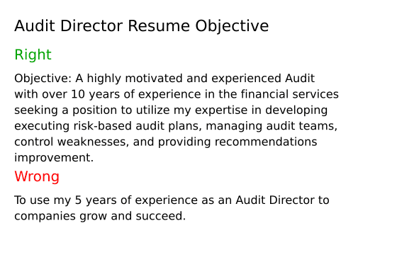 Top 17 Audit Director Resume Objective Examples | ResumeCat