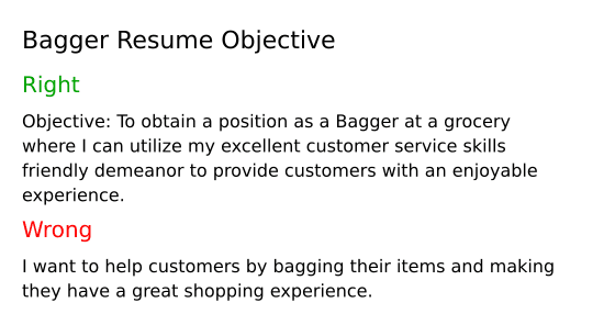 Top 18 Bagger Resume Objective Examples | ResumeCat