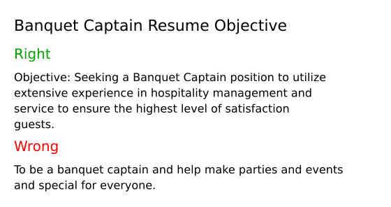 Top 16 Banquet Captain Resume Objective Examples | ResumeCat