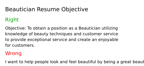 Top 16 Beautician Resume Objective Examples | ResumeCat