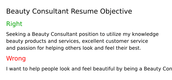 Top 18 Beauty Consultant Resume Objective Examples