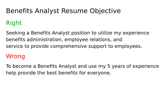 Top 18 Benefits Analyst Resume Objective Examples