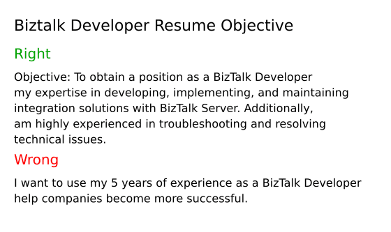 Top 17 Biztalk Developer Resume Objective Examples