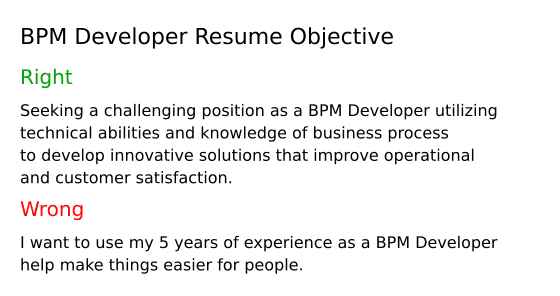 Top 16 BPM Developer Resume Objective Examples | ResumeCat