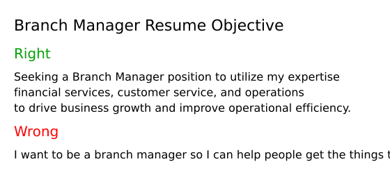 Top 16 Branch Manager Resume Objective Examples | ResumeCat