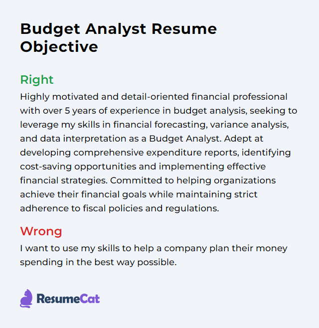 Top 16 Budget Analyst Resume Objective Examples ResumeCat