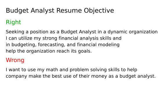 Top 16 Budget Analyst Resume Objective Examples | ResumeCat