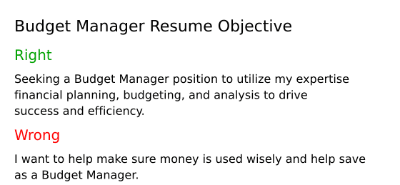 Top 16 Budget Manager Resume Objective Examples | ResumeCat