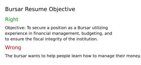 Top 17 Bursar Resume Objective Examples | ResumeCat