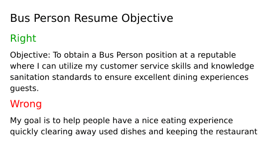 Top 18 Bus Person Resume Objective Examples | ResumeCat
