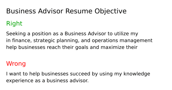 Top 18 Business Advisor Resume Objective Examples