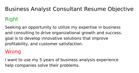 Top 17 Business Analyst Consultant Resume Objective Examples