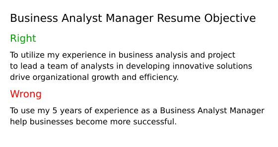 Top 18 Business Analyst Manager Resume Objective Examples