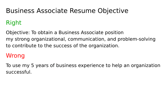 Top 17 Business Associate Resume Objective Examples
