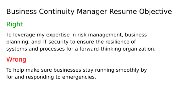 Top 18 Business Continuity Manager Resume Objective Examples
