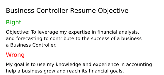Top 17 Business Controller Resume Objective Examples