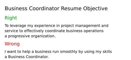 Top 17 Business Coordinator Resume Objective Examples