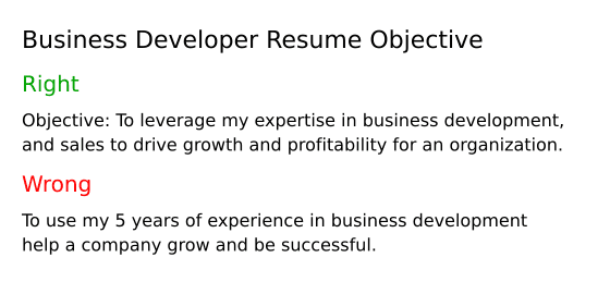 Top 17 Business Developer Resume Objective Examples