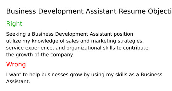 Top 18 Business Development Assistant Resume Objective Examples