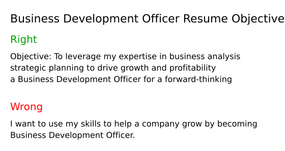 Top 18 Business Development Officer Resume Objective Examples