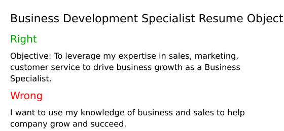 Top 16 Business Development Specialist Resume Objective Examples