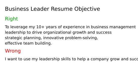 Top 16 Business Leader Resume Objective Examples | ResumeCat