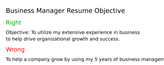 Top 16 Business Manager Resume Objective Examples