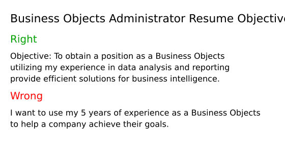 Top 16 Business Objects Administrator Resume Objective Examples