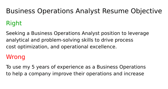 Top 17 Business Operations Analyst Resume Objective Examples