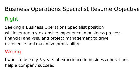 Top 18 Business Operations Specialist Resume Objective Examples