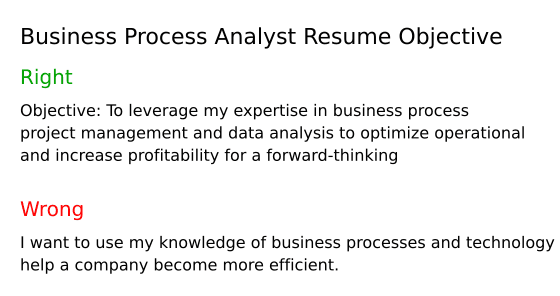 Top 18 Business Process Analyst Resume Objective Examples